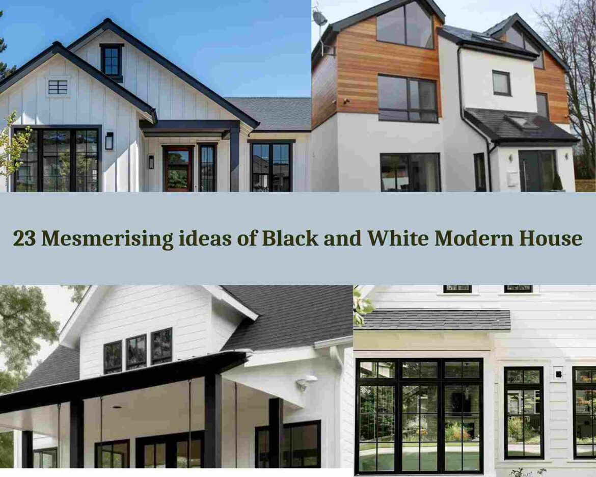 23 Mesmerising ideas of Black and White Modern House - Tangy House