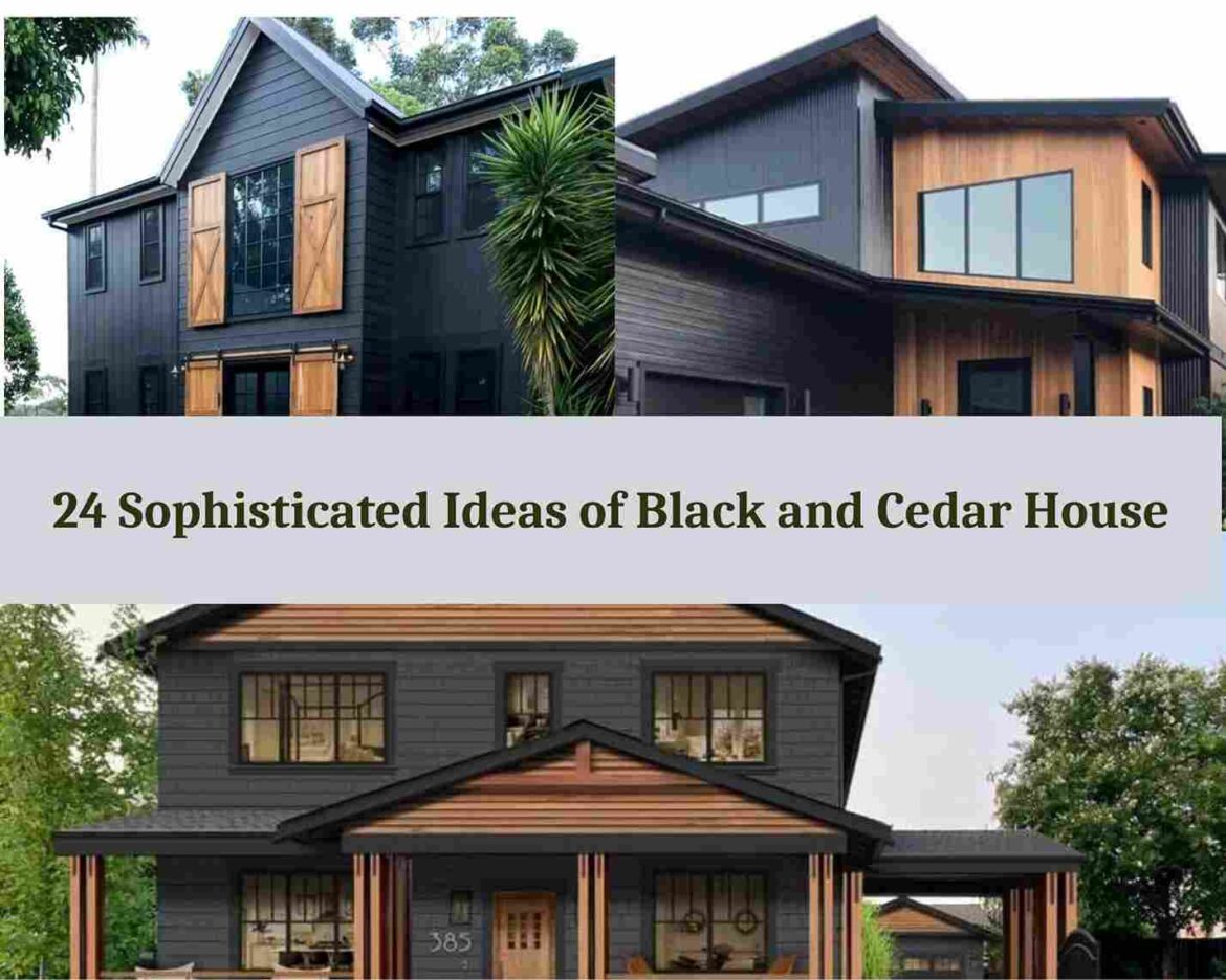 24 Sophisticated Ideas of Black and Cedar House - Tangy House