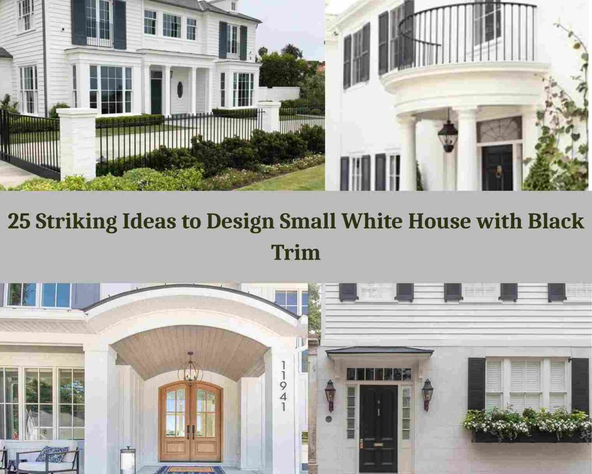25 Striking Ideas to Design Small White House with Black Trim - Tangy House