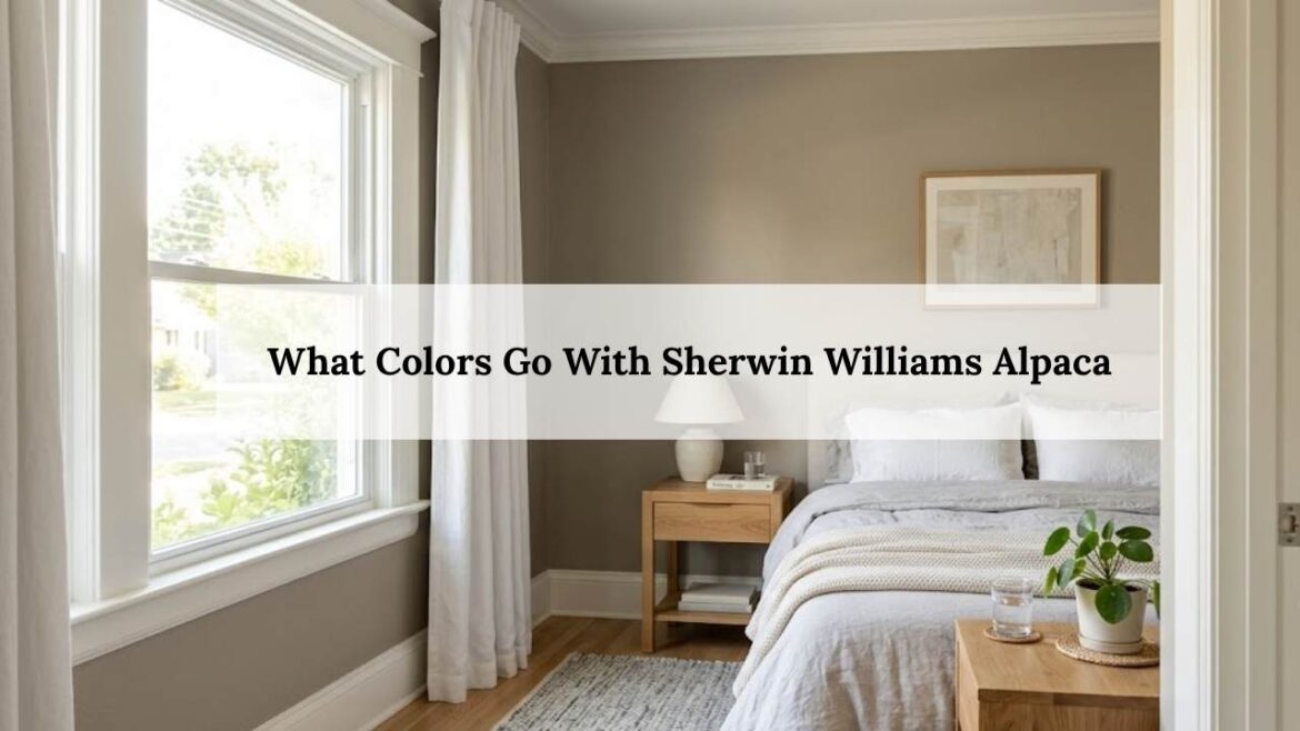 What Colors Go With Sherwin Williams Alpaca: A Detailed Review - Tangy ...